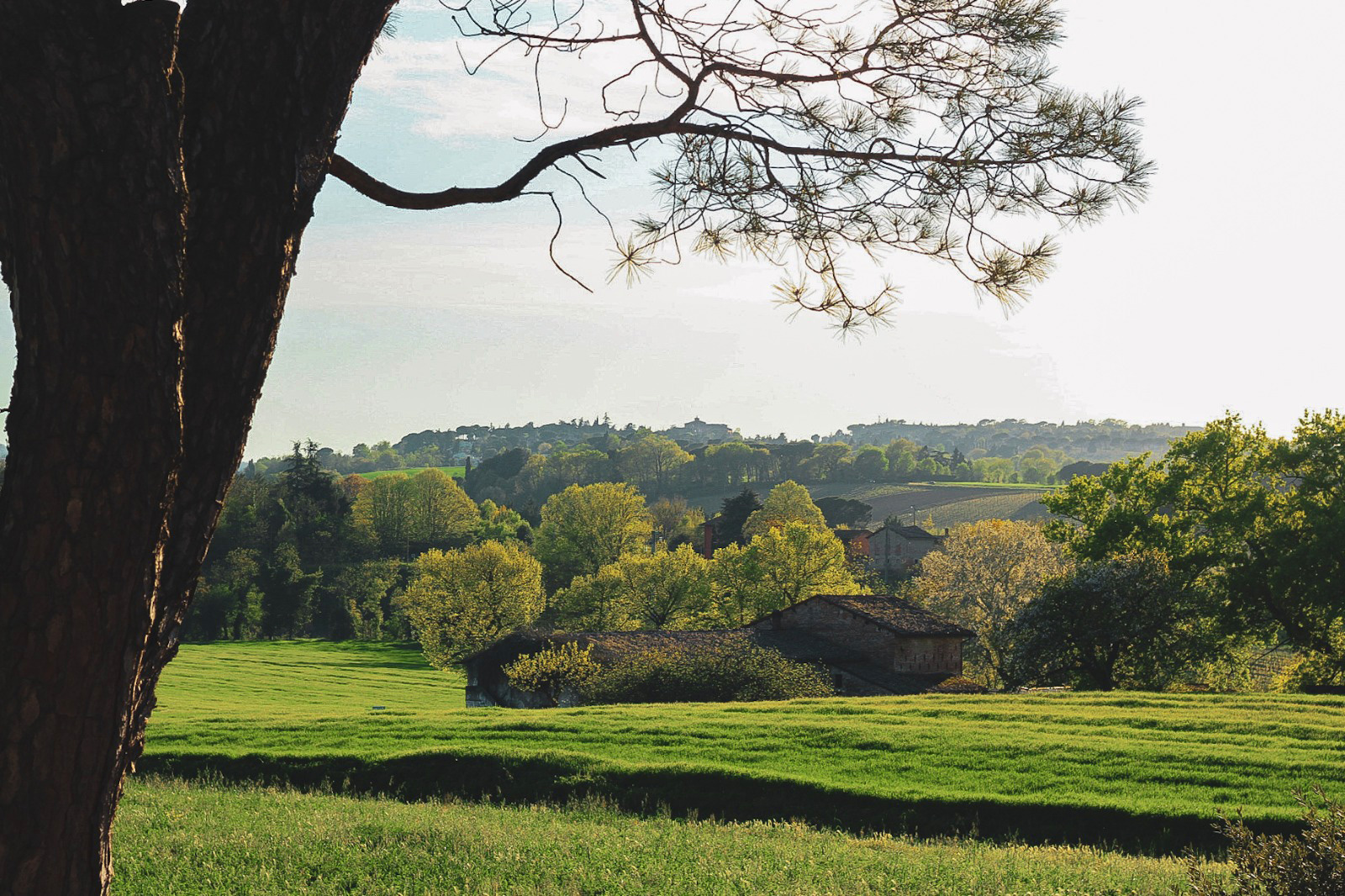 The 2024 of Merlotta is in the name of the Tridènte